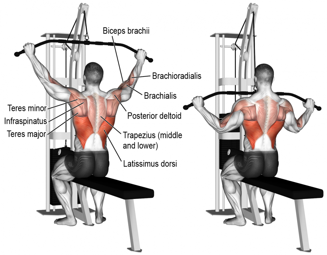 Shocking Lagging Body Parts!