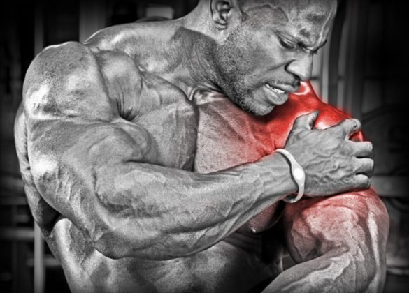 Bodybuilding: Building Your Body Without Aches & Pains! – Muscle Toughness