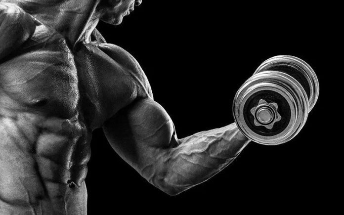 Condensed Training – Build Massive Gains In Size And Strength – Muscle ...